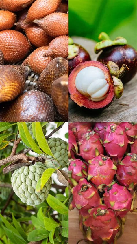 Exotic Fruits