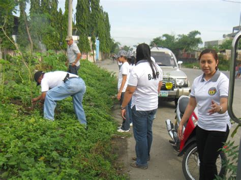 Barangay Manuyo Dos Tree Planting Activities Purok