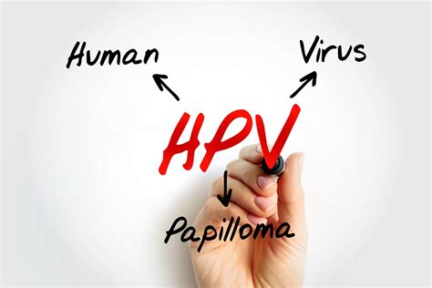 항문 안쪽과 사타구니가 가렵다 남성곤지름 원인과 증상