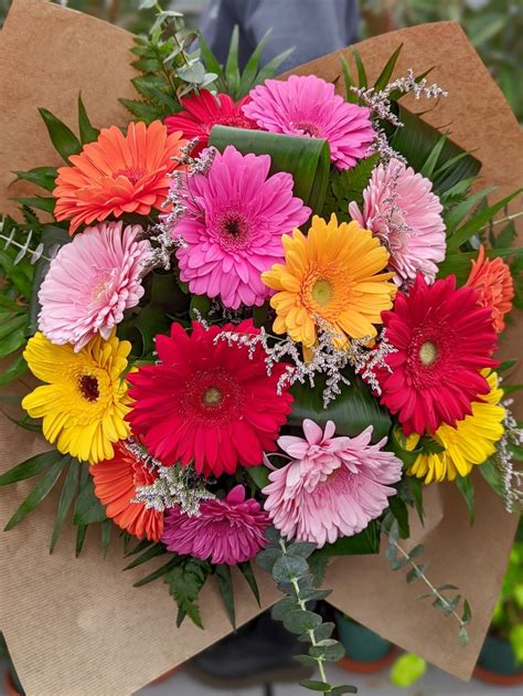 Gerbera Garden The Watering Can Flower Market
