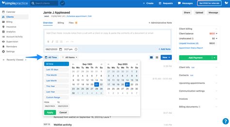 Navigating The Client Overview Page Simplepractice Support