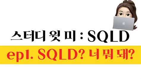 스터디 윗 미 Sqld Ep1 Sqld 따면 뭐가 좋아 Sql이란 Sql 개발자 직무 우대기업 과목