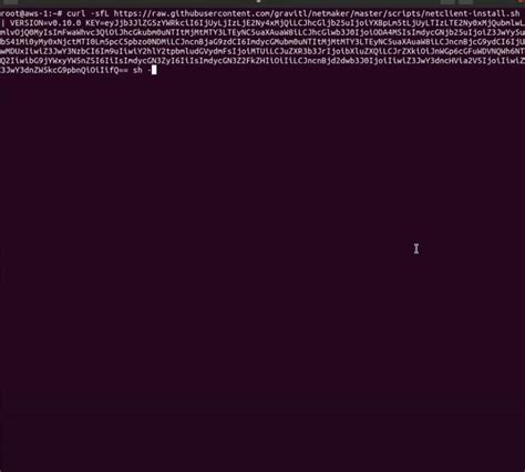 How To Use Netmaker V010 Wireguard® Virtual Networking Platform