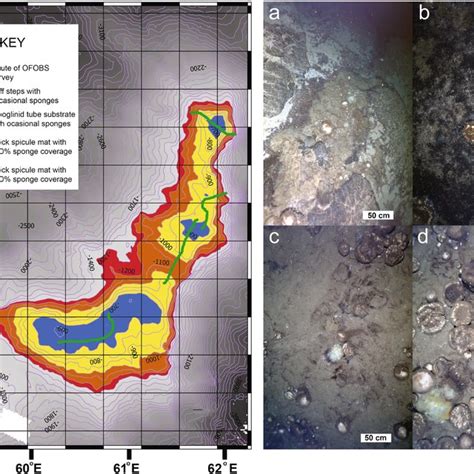 Sponge Density Map And Representative Seafloor Images Map Sponge