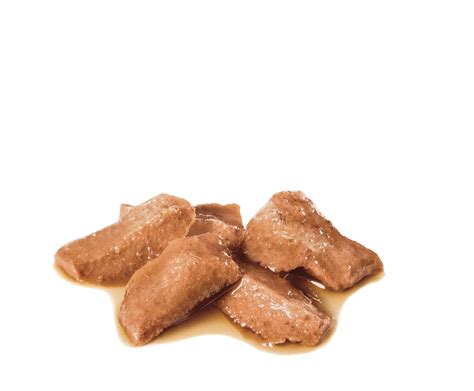 Maine Coon Adult Thin Slices In Gravy Canned Cat Food Royal Canin Us