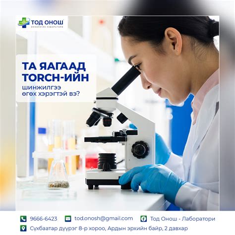 👉torch ШИНЖИЛГЭЭ ГЭЖ ЮУ ВЭ👇 Тод Онош Лаборатори Facebook