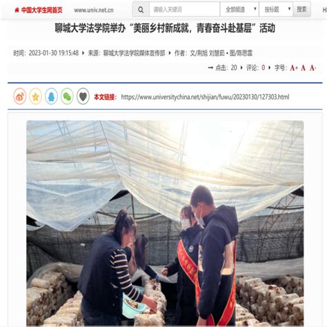新闻网新版