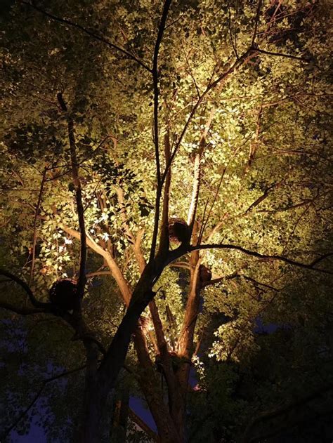 48cee7aa Bc30 46c3 95f6 B59ea5bcca63