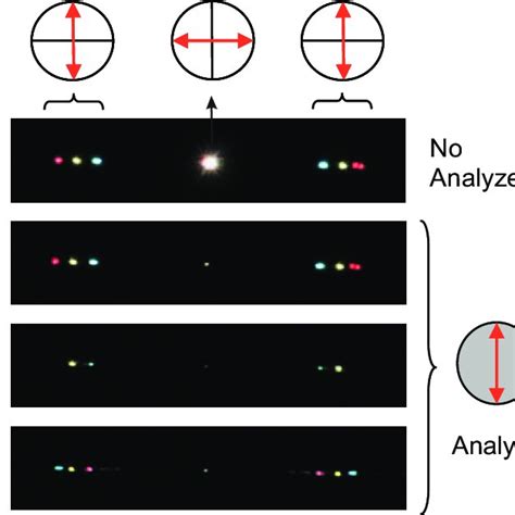 Experimental Diffraction Patterns Of A Binary Grating A Pattern Download Scientific Diagram