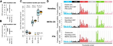 Contrasting Somatic Mutation Patterns In Aging Human Neurons And Oligodendrocytes Cell