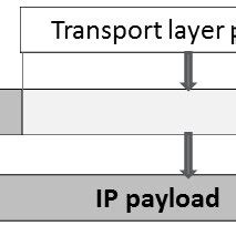IPsec In Transport Mode It Does Not Protect IP Header Only Protects Download Scientific