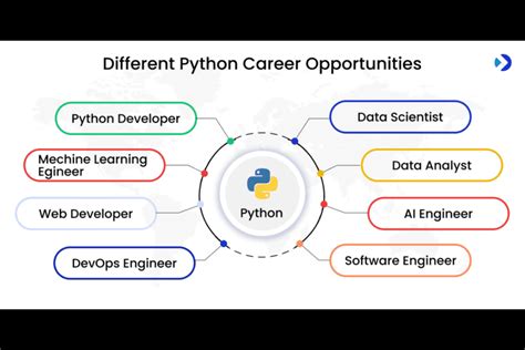 The Python Developer Career Track Pathwaysskillsand Opportunities