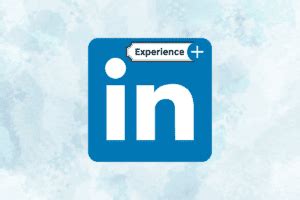 How To Add Experience On LinkedIn TechCult