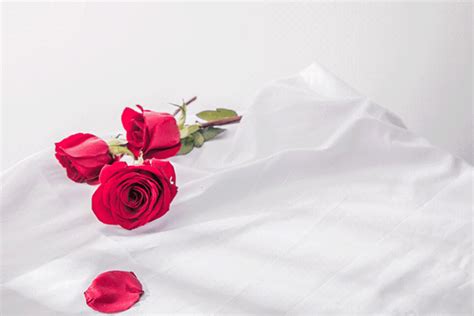 玫瑰花动态图gif 玫瑰花gif动态图 玫瑰花图片动态图 大山谷图库