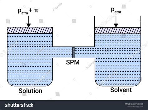 Chemical Process Solution Solvent Spm Stock Vector Royalty Free