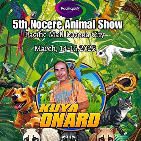 Birdseed To Pikoy Handfeed Formula Problem Ko Ngayon Paano Sya