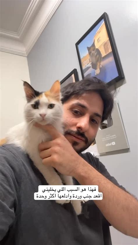 Ekbal Ahmed ‎كواليس ام هالات وقطط الحارة😀 Cats Foryoupage Love Cutecatangrycalico