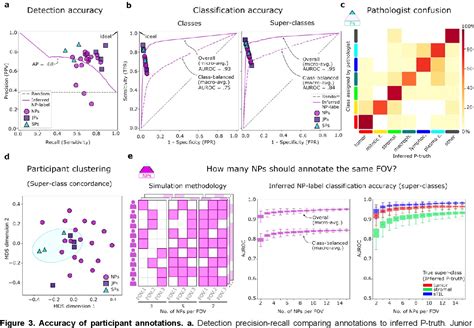 Nucls A Scalable Crowdsourcing Deep Learning Approach And Dataset For Nucleus Classification