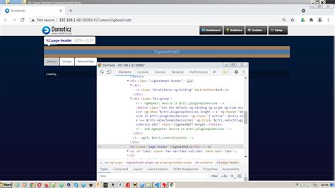 Upgraded Plugin Now Customzigbee2mqtt Page Does Not Render · Issue 671 · Stas Demydiuk