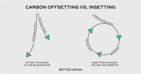 Why Insetting Not Offsetting Will Help Us Reach Net Zero
