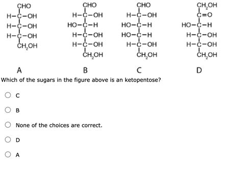 Solved Cho H C Oh H C Oh H C Oh Ch Oh Cho H C Oh Ho C H Chegg Com