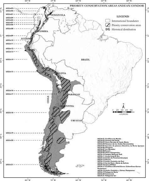 Defining Spatial Conservation Priorities For The Andean Condor Vultur
