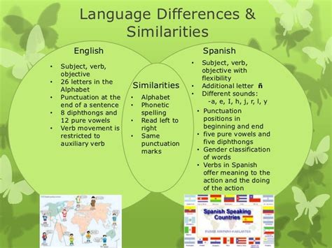 Language Comparison 502