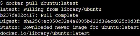 Basic Docker Commands Naukri Code 360