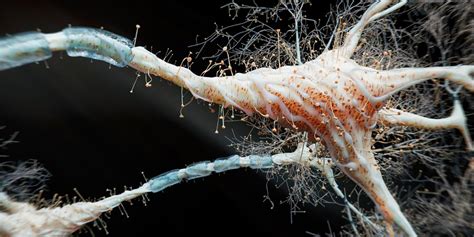 Scientists Discover The Human Brain Is Even More Powerful Than We