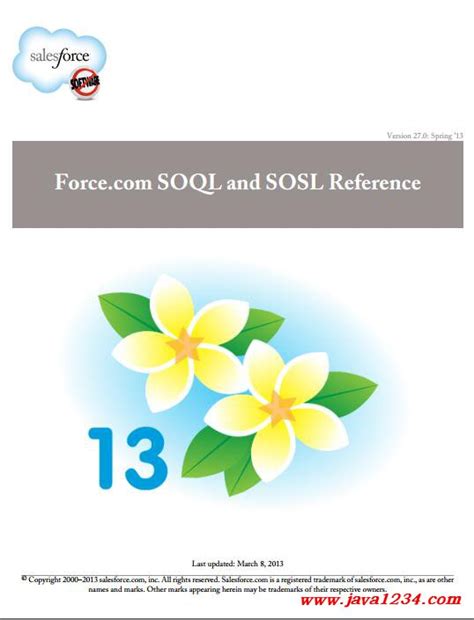salesforce soql sosl技术文档 pdf 下载 java知识分享网 免费java资源下载