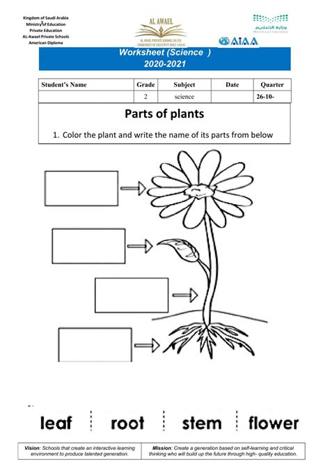 Science Activity Worksheets Grade 3
