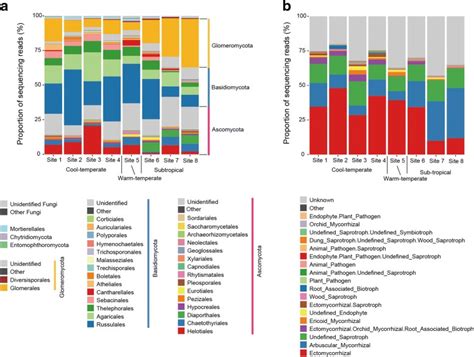 Network Hubs In Root Associated Fungal Metacommunities Abstract Europe Pmc