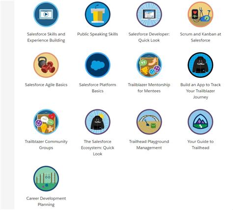 Benjamin M On Linkedin Getting Those Salesforce Badges Always Up For Learning New Things