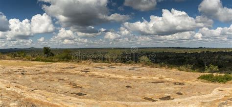A Savanna Or Savannah Is A Mixed Woodland Grassland Grassy Woodland Ecosystem Southern Africa