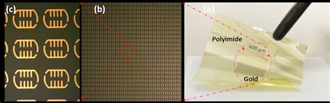 Terahertz Biosensor Demonstrates Remarkable Accuracy In Detecting Skin Cancer India Education