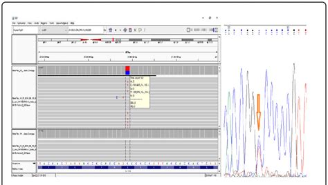 Sequencing Results Igv Browser Visualization Of The Targeted Ngs Download Scientific Diagram