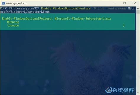 如何启用bash on ubuntu on windows 系统极客