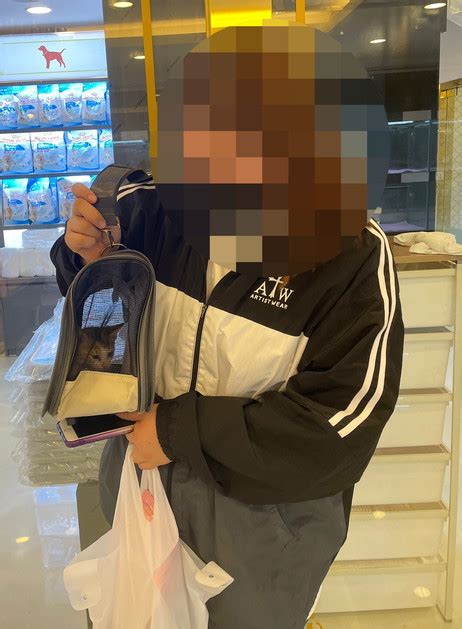 부산화명 2022 0105 코리안숏헤어 화미 책임분양 사모예드책임분양 스피츠책임분양 시바견책임분양 시베리안허스키책임분양 시츄