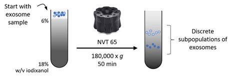 Purifying High Quality Exosomes Using Ultracentrifugation