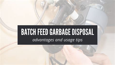 Batch Feed Garbage Disposal Advantages And Usage Tips