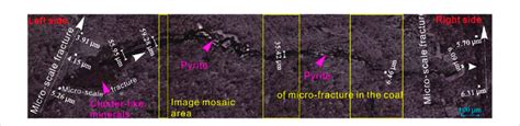 Propagation Mode Of Micro Fracture In The Coal Download Scientific