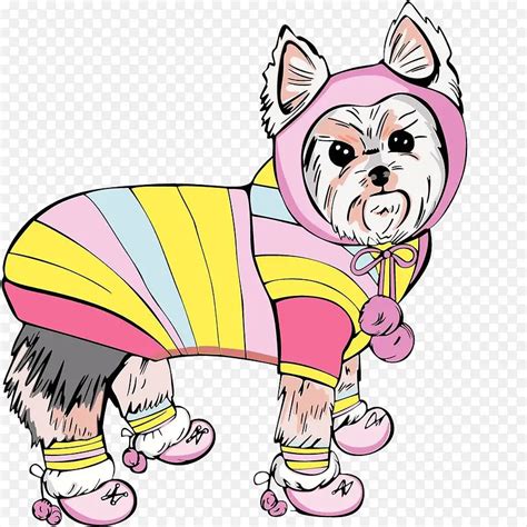 穿衣服的宠物猫PNG图片素材下载 图片编号qxwpvpjy 免抠素材网