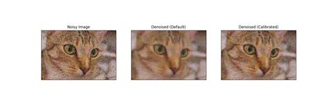 Calibrating Denoisers Using J Invariance — Skimage 0 25 1 Documentation