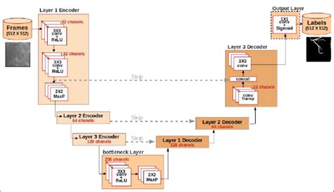 Used U Net Architecture Download Scientific Diagram