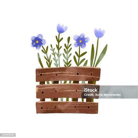 정원 나무 바구니 상자 및 큰 꽃 봄꽃 땅에서 농사를 짓고 일하십시오 수채화 손으로 그린 그림 3월에 대한 스톡 벡터 아트 및 기타 이미지 Istock
