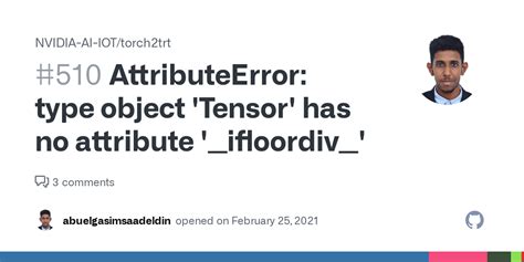 Attributeerror Type Object Tensor Has No Attribute Ifloordiv Issue Nvidia Ai