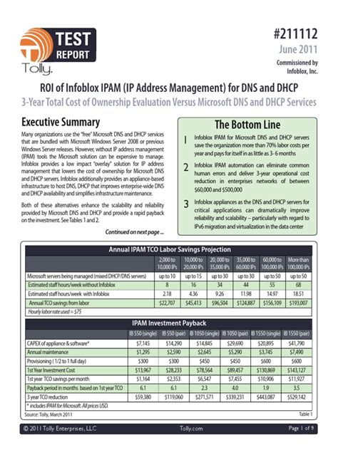 Roi Of Infoblox Ipam Ip Address Management For Dns And Dhcp Pdf Ip Address Domain Name