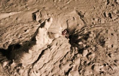 Needs More Mud Tumblr Com Tumbex