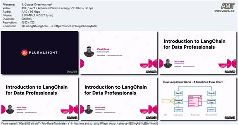 Introduction To Langchain For Data Professionals Softarchive
