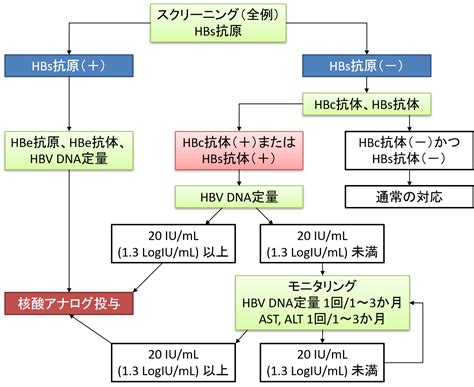 B型肝炎について 消化器肝臓ドットコム